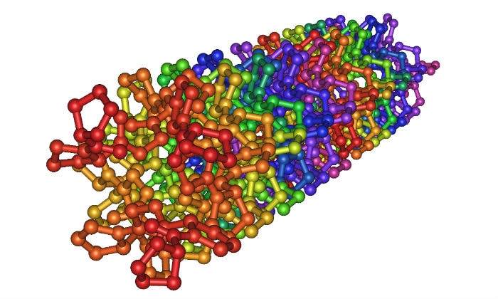 Kolagén | eOtazky.cz
